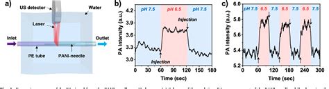 Figure 4 From Ph Responsive Ratiometric Photoacoustic Imaging Of Polyaniline Nanoparticle Coated