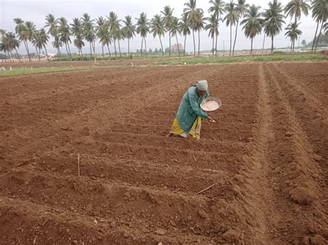 Agriculture Home