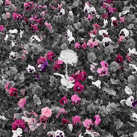 Kentukki альбом быстромедленно слушать онлайн бесплатно на Яндекс Музыке в хорошем качестве