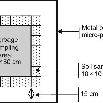 Plot Layout Highlighting Soil And Herbage Sampling Areas Download Scientific Diagram