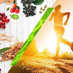 Sports Nutrition Coopersmith Career Consulting