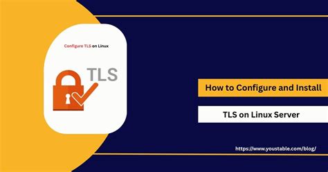 Step By Step Configure TLS On Linux With Ease