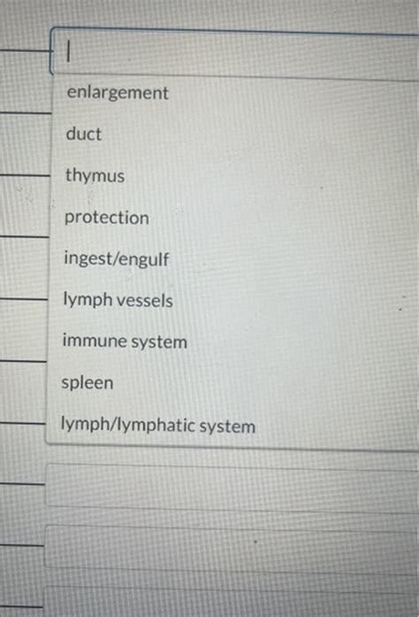 Solved Match Each Root Or Suffix With Its Appropriate Chegg Com