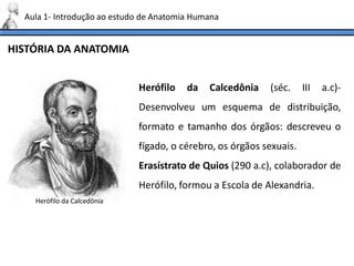 Aula1anatomia Aspectos Históricoplanos Termos Pdf