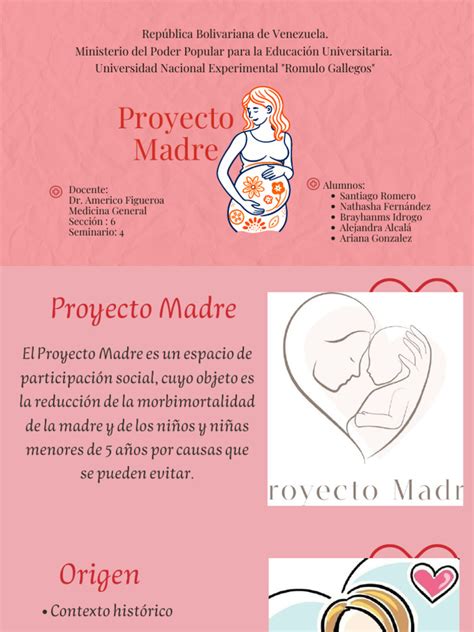 Presentación Matrona Medicina Embarazo Salud Mujer Ilustrado Rosa Rojo