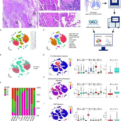 Integrated Analysis In Scrna Seq And Bulk Rna Seq Data A 2 Dimensional Download Scientific