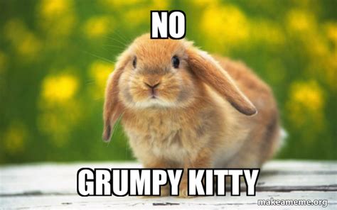No Grumpy Kitty Regretful Rabbit Meme Generator