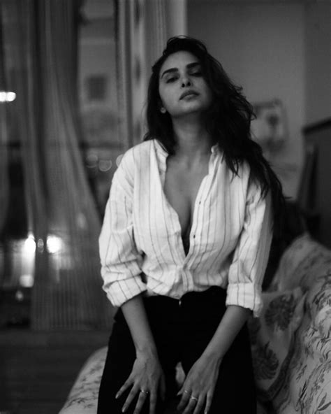 shraddha pandey photos latest hd images pictures stills and pics