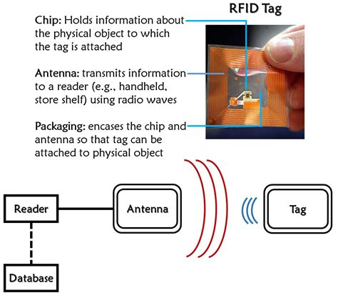 Rfid Chips