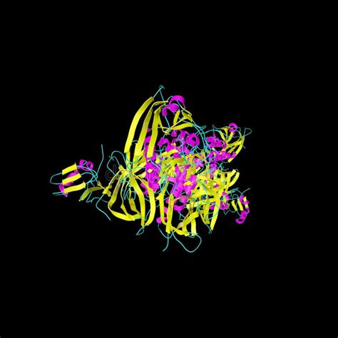 Pertussis Bacterium Stock Illustrations 308 Pertussis Bacterium Stock Illustrations Vectors