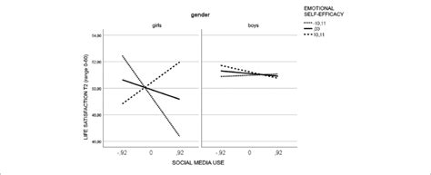 Moderating Effect Of Emotional Self Efficacy And Gender In The
