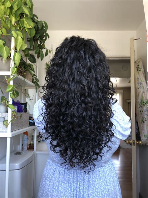 Black Curly Hair From The Back