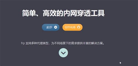 Frp使用教程 知乎
