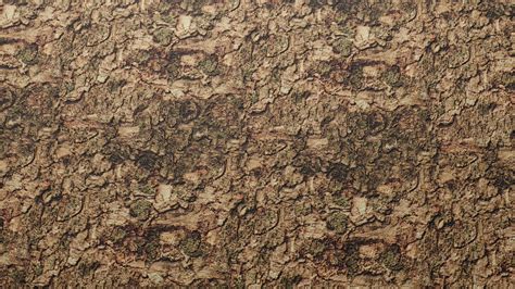 Tree Bark PBR Texture By CGHawk