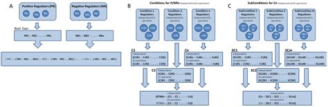 Bio Logic Builder Algorithm For Construction Of Boolean Expressions Download Scientific Diagram