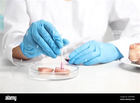 scientist inspecting meat at table in laboratory closeup poison