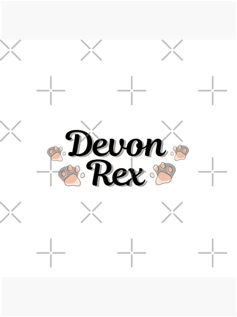 Devon Rex Cat Breed Poster For Sale By Creativekris Redbubble