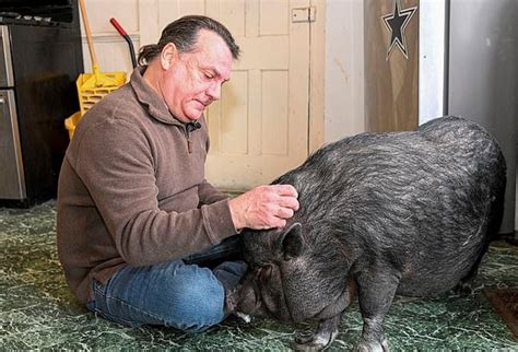 បុរសរូបនេះ ប្រឹងជម្នះគ្រប់យ៉ាង ដើម្បីបានសិទ្ធចិញ្ចឹមជ្រូក ក្រោយពីវាបានជួយគាត់ពីប ញ្ហា ផ្លូ វ