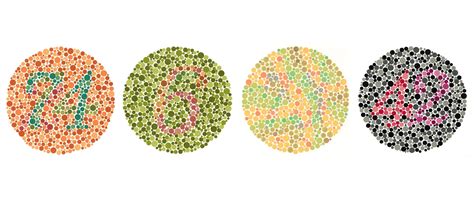 캠페인 저널리즘 눈 Noon