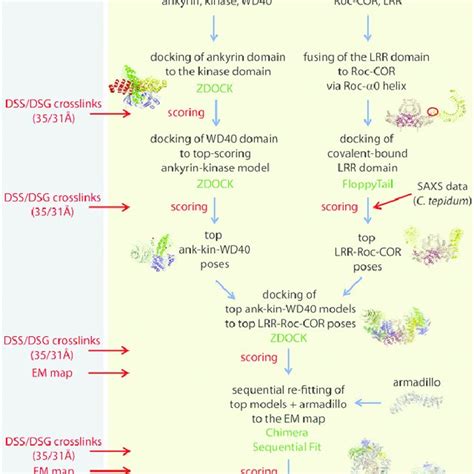 Integrative Modeling Workflow Download Scientific Diagram
