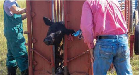 Why Tissue Sampling Units Are Better For Genenomic Testing And Cheaper