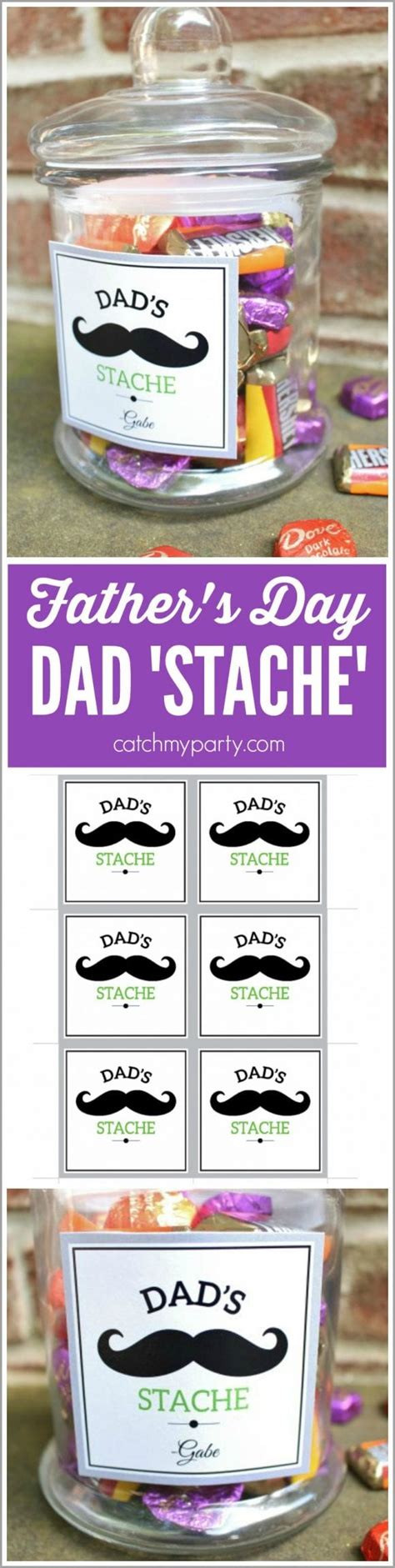 Dad Stache Fathers Day T Idea Catch My Party