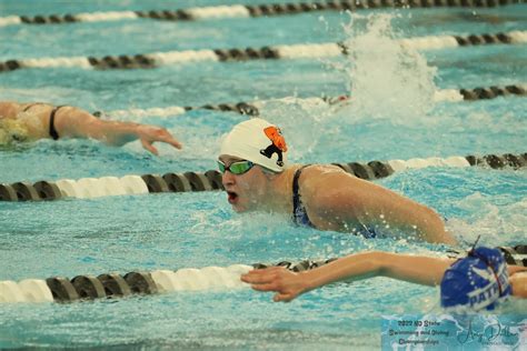 Midgets Swim And Dive Team Finishes Fifth At State The Dickinson