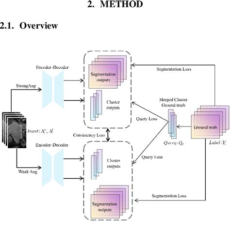 Figure 1 From Semi Supervised Medical Image Segmentation Via Query Distribution Consistency