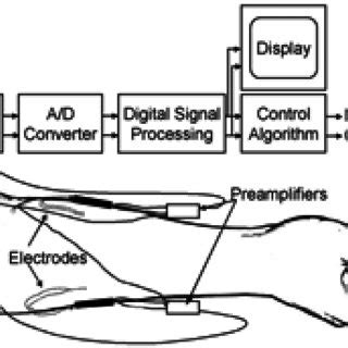 Block Diagram Of Experimental Setup Download Scientific Diagram