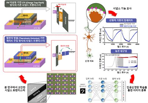 Introduced To The Media Entis Kaist