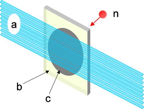 Development Of A Thermal Neutron Detector Based On Scintillating Fibers And Silicon