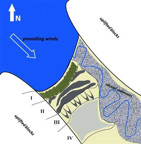 Idealized Conceptual Model Of Transgressive Dune Systems Along The Download Scientific Diagram