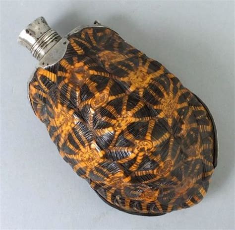 Silver Mounted Turtle Powder Flask