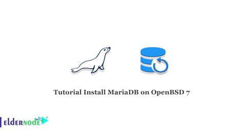 Tutorial Install And Run Sqlmap On Kali Linux Eldernode Blog