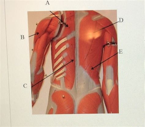 A P Midterm Section Quizzes Flashcards Quizlet A P Midterm Section Quizzes Flashcards Quizlet