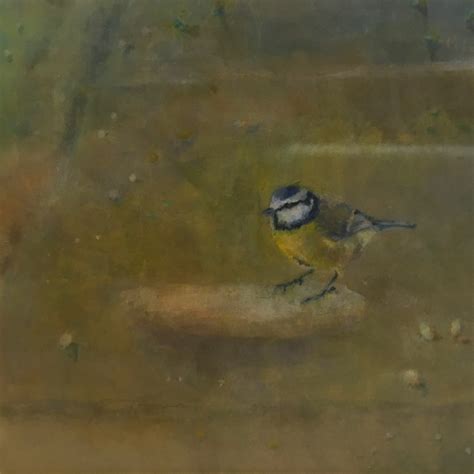 Garden Birds By Anna Dickerson Exhibitions Rodić Davidson