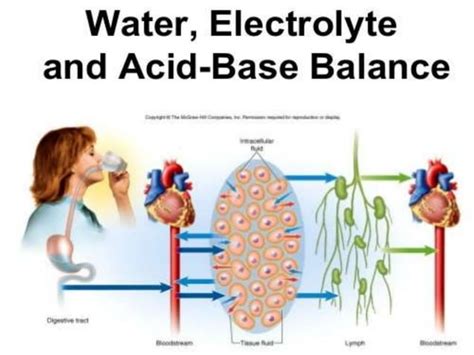 Fluid Andelectrolyte Balance Pptx