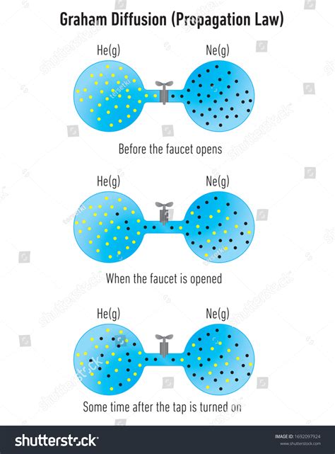 Graham Diffusion Propagation Law Illustration Stock Vector Royalty