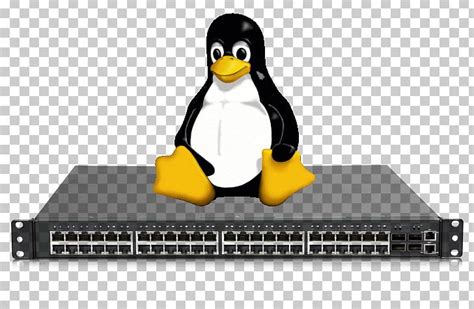 Linux Computer Network Open Source Software Open Source Model Operating Systems Png Clipart