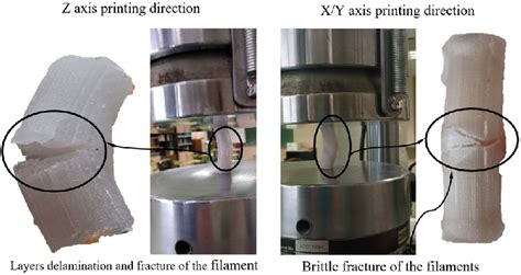 Structural Collapse Process Of The Cylindrical Specimens During The