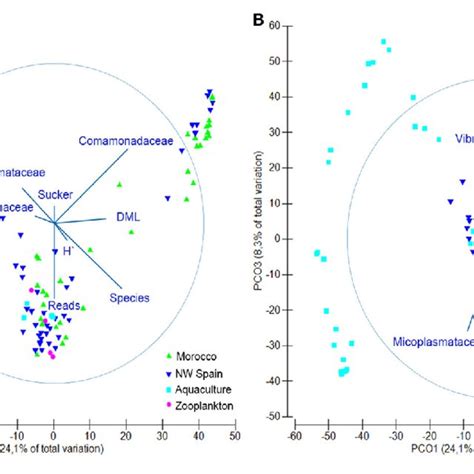 Principal Coordinate Analysis Pco Plot Showing The Microbial