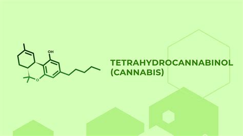 Cannabis Drug Science