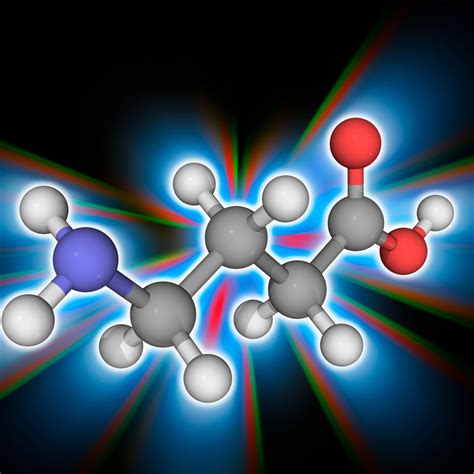 Why Are Nnmt Inhibitors So Popular A Comprehensive Overview