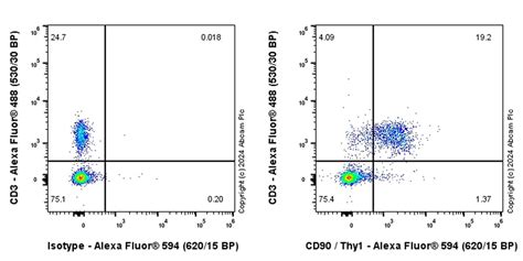 alexa fluor® 594 anti cd90 thy1 抗体 [epr28145 53] ab317533