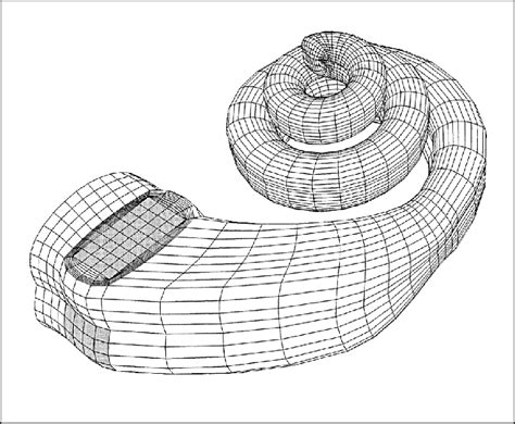 Cochlear Model Discretized With Finite Elements Download Scientific