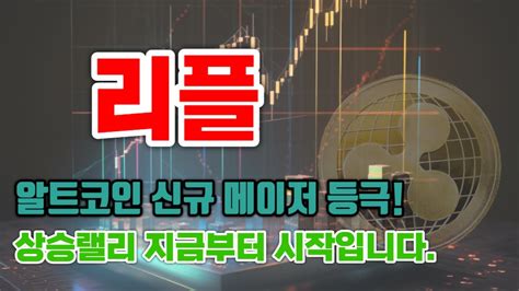 리플 코인전망 눌림목 구간 조정줄때 사라고 매도버튼 손떼고 이 때 풀매수 리플코인리플코인전망 Youtube
