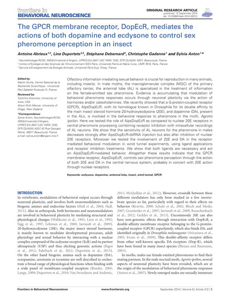 Pdf The Gpcr Membrane Receptor Dopecr Mediates The Actions Of Both
