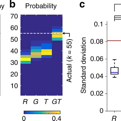 Dynamics Of Simulated Neural Signal And Functional Connectivity Download Scientific Diagram