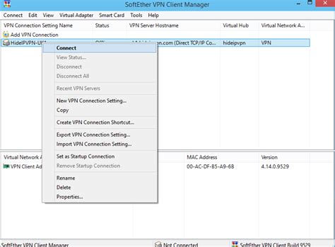 How To Windows 10 SoftEther VPN Setup Tutorial HideIPVPN Services