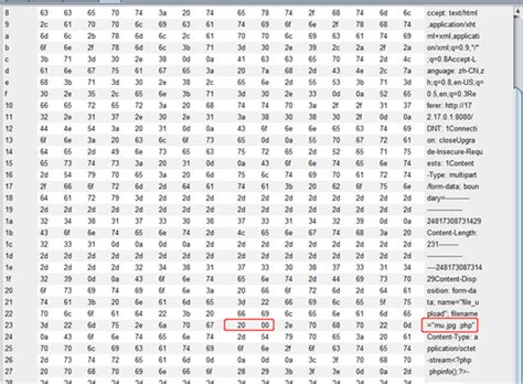 Nginx文件名逻辑漏洞cve 2013 4547漏洞复现 雨中落叶 博客园